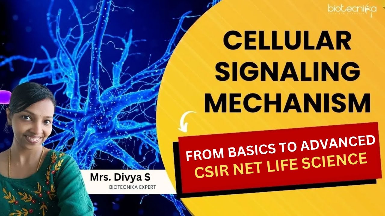 Cellular Signaling Mechanism From Basics to Advanced For CSIR NET Life ...