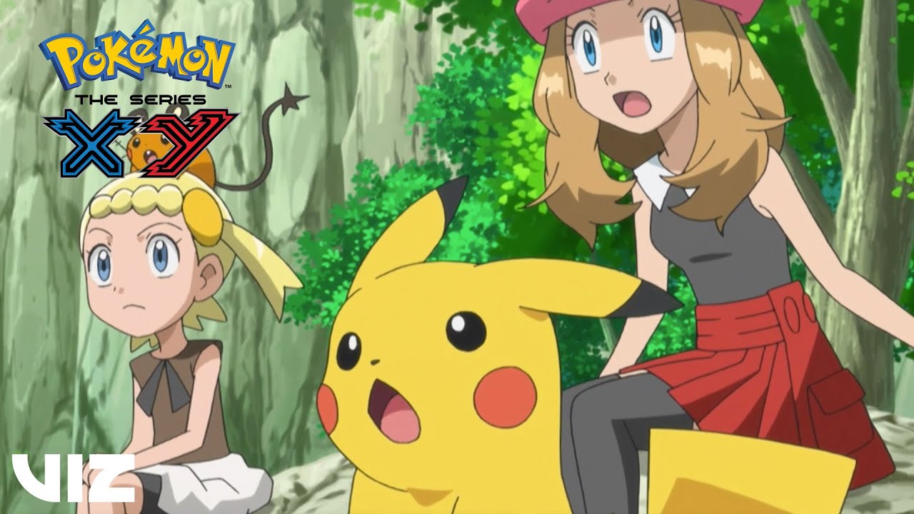 Froakie vs Frogadier | Pokémon The Series: XY Complete Season | VIZ ...