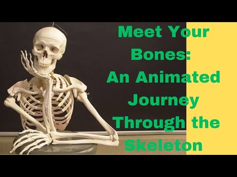 Skeleton Stories: Fascinating Facts About Our Bones - YouTube