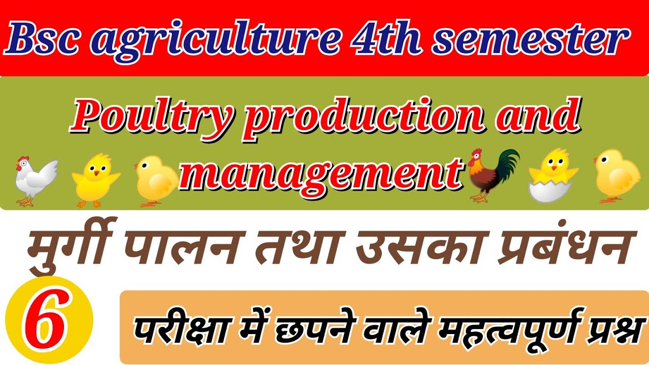 Poultry production and management MCQ question ll Bsc AG 4th semester ...