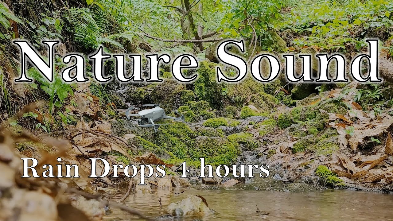 Nature Sound 4 Hours: Rain Drops - YouTube