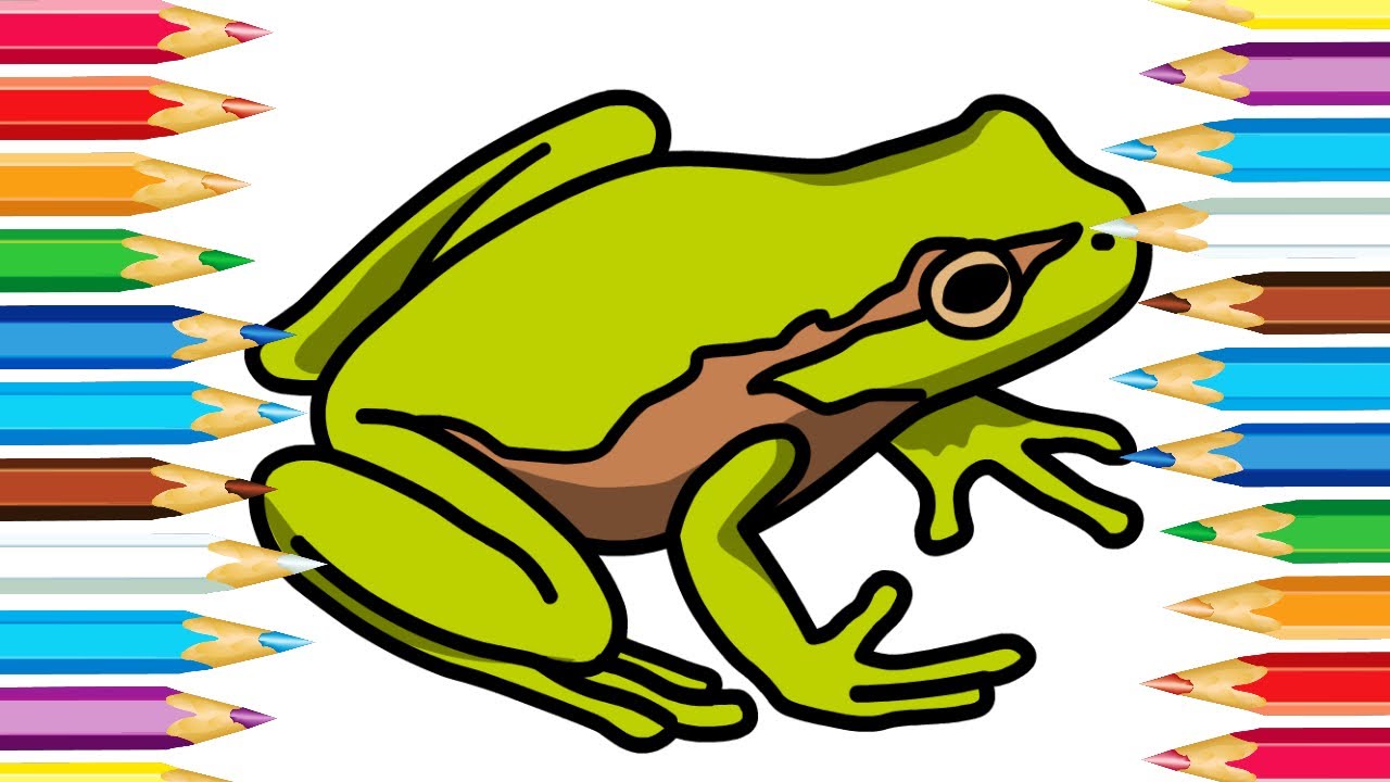 How to Draw a Frog in 5 Easy Steps - YouTube