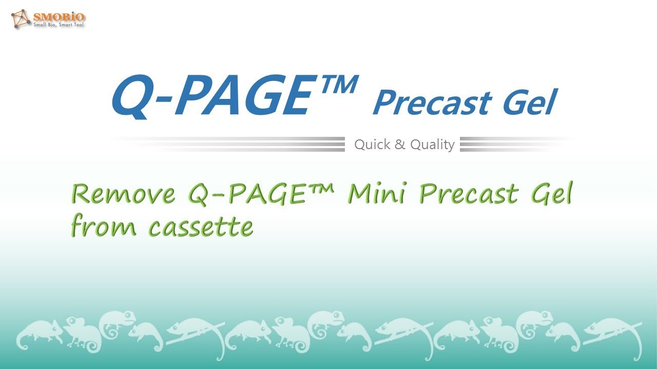 Removing Q-PAGE Mini Gel from cassette - YouTube