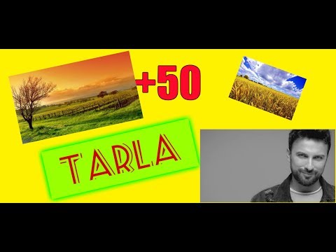 Tarkan - Yolla feat. Karşa - Tarla (Parodi)#1