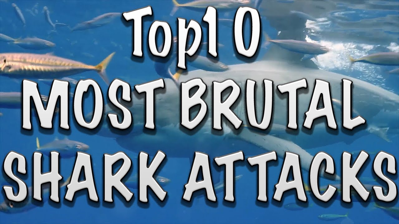 Top10 MOST BRUTAL SHARK ATTACKS - YouTube