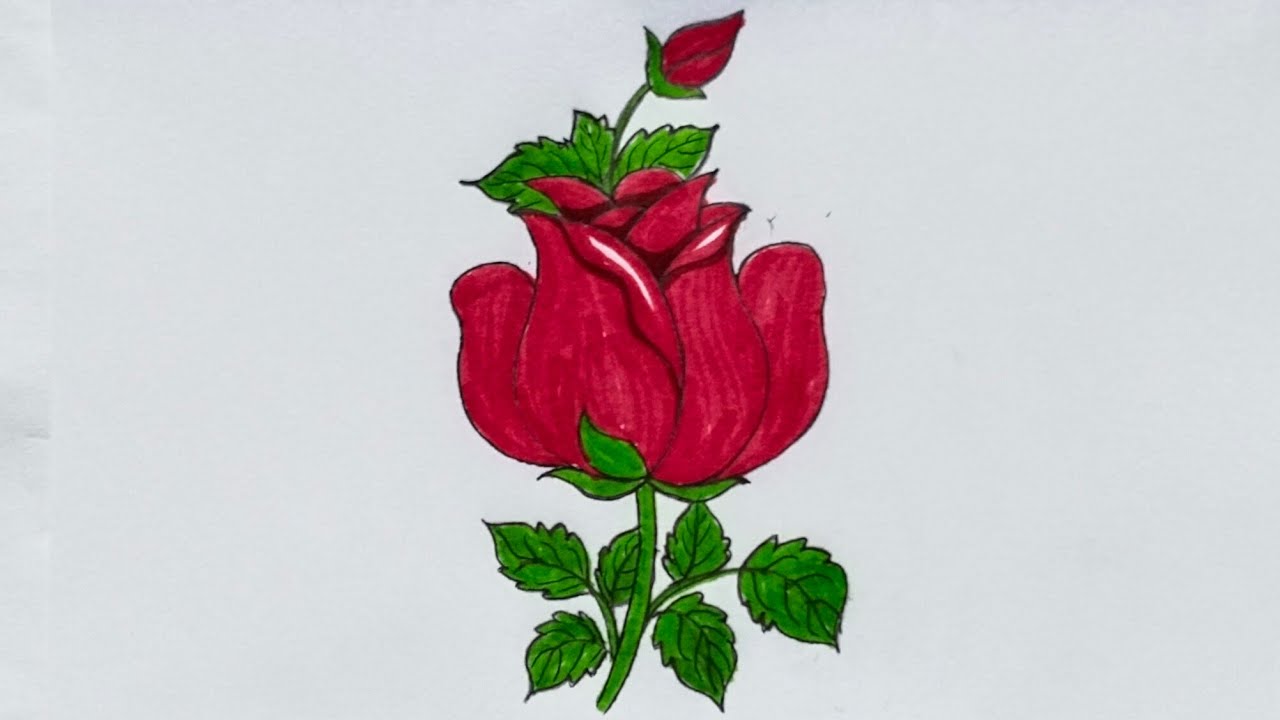 Rose drawing / how to draw rose very easy - YouTube