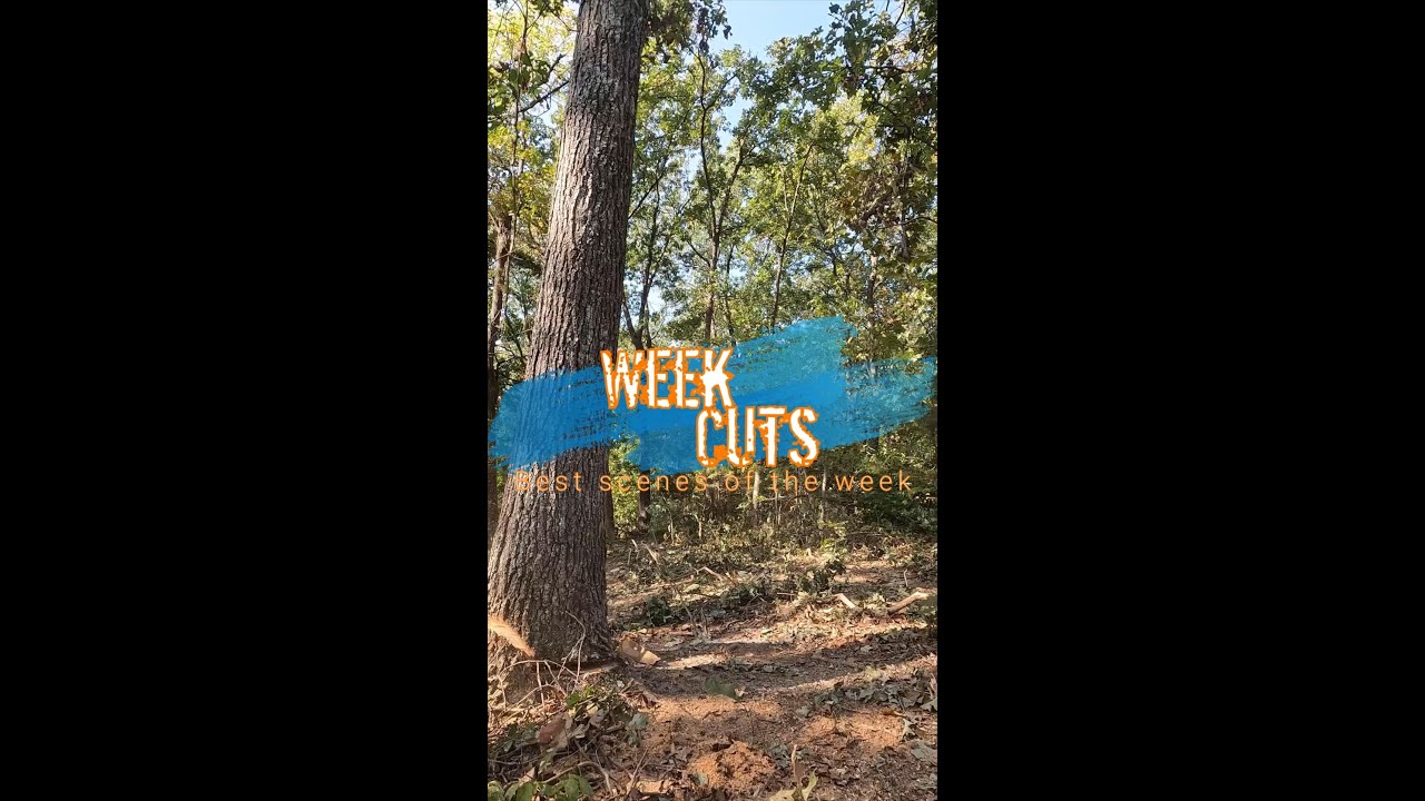 Week Cuts #51 - 2 places, 1 week - Here are my favorite "cuts" (scenes ...