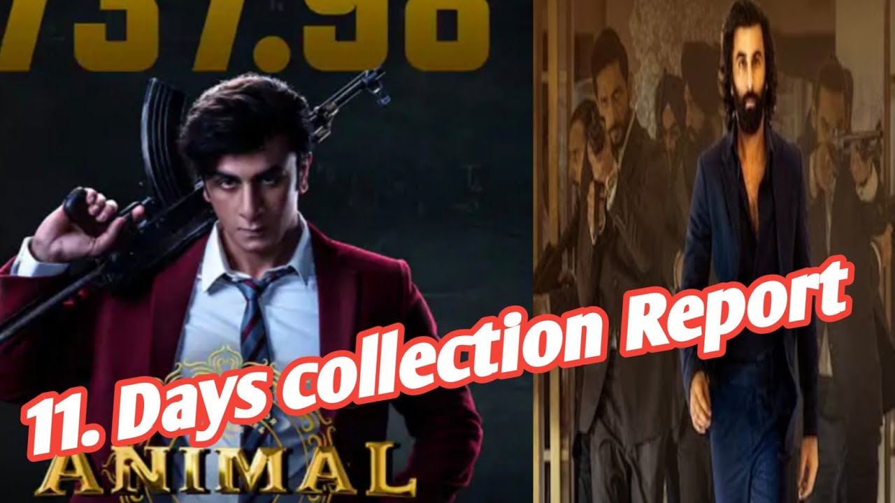 Animal Movie Days 11 World Wide Collection Report||Animal Movie ...