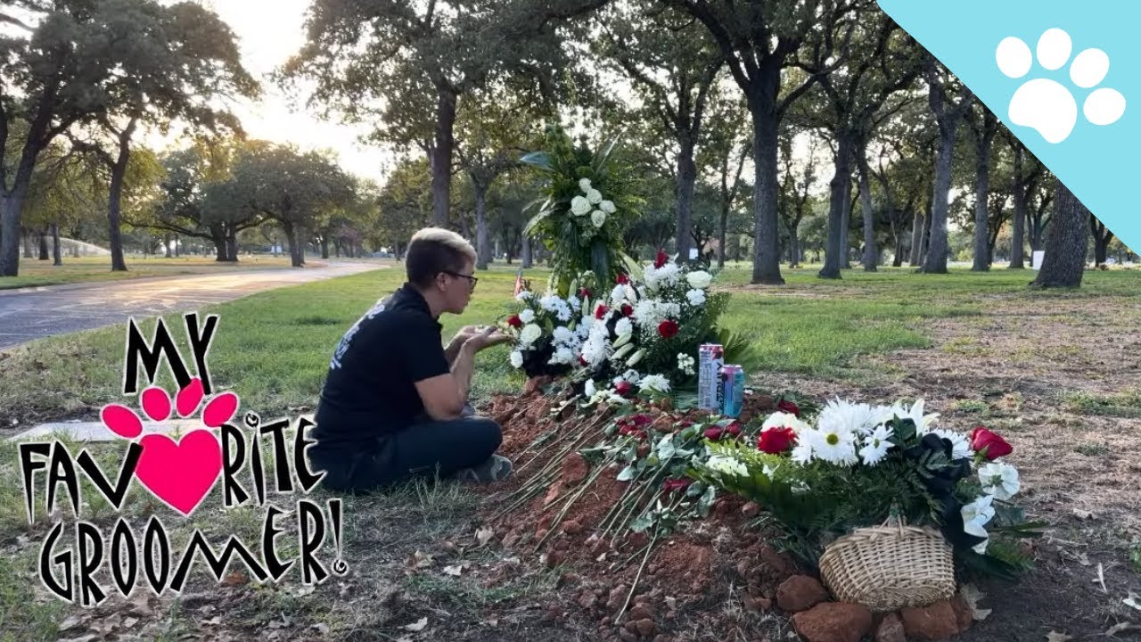 Laying My David to Rest 3 Oct 23 - YouTube