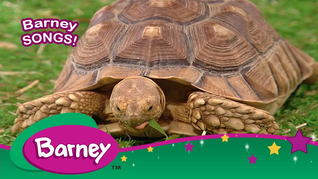Barney | SONGS For Kids | He SNAPPED! - YouTube