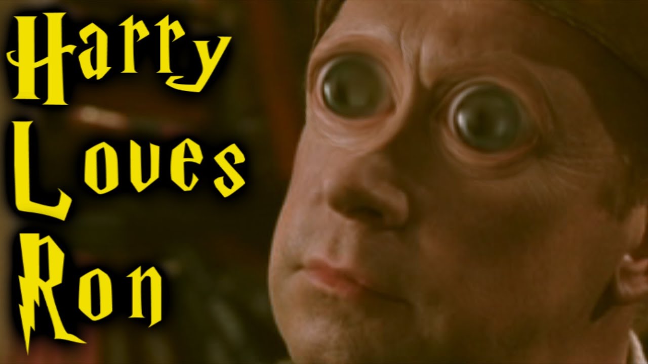 YouTube Poop: Harry Potter - Harry Loves Ron - YouTube