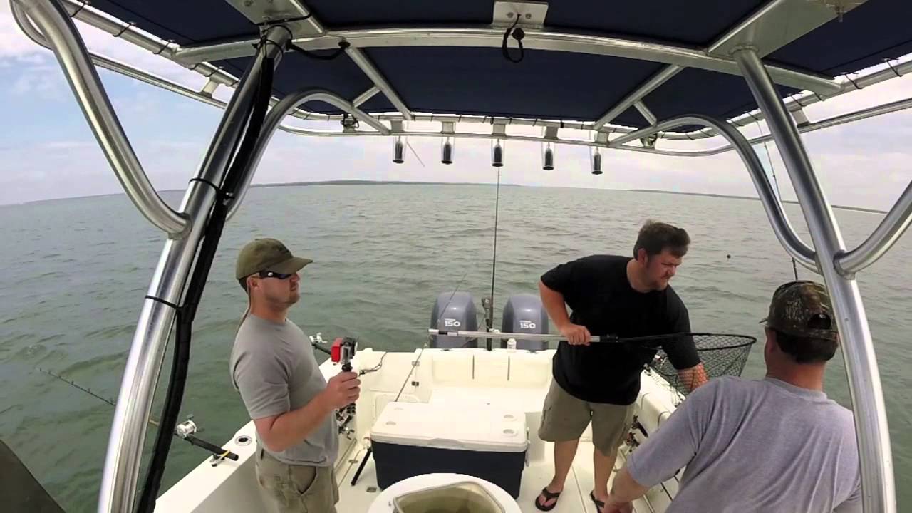 WINGO'S GUIDE SERVICE LAKE TEXOMA - YouTube