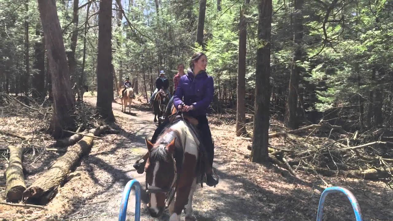 Julia Abelev: horseback riding in Pocono, Pennsylvania. Meeting wild ...