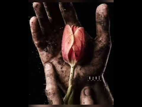 whatsApp üçün status, video, mahnılar, mahnılar 2021, mp3, mənalı qəmli statuslar, sevgi statusları