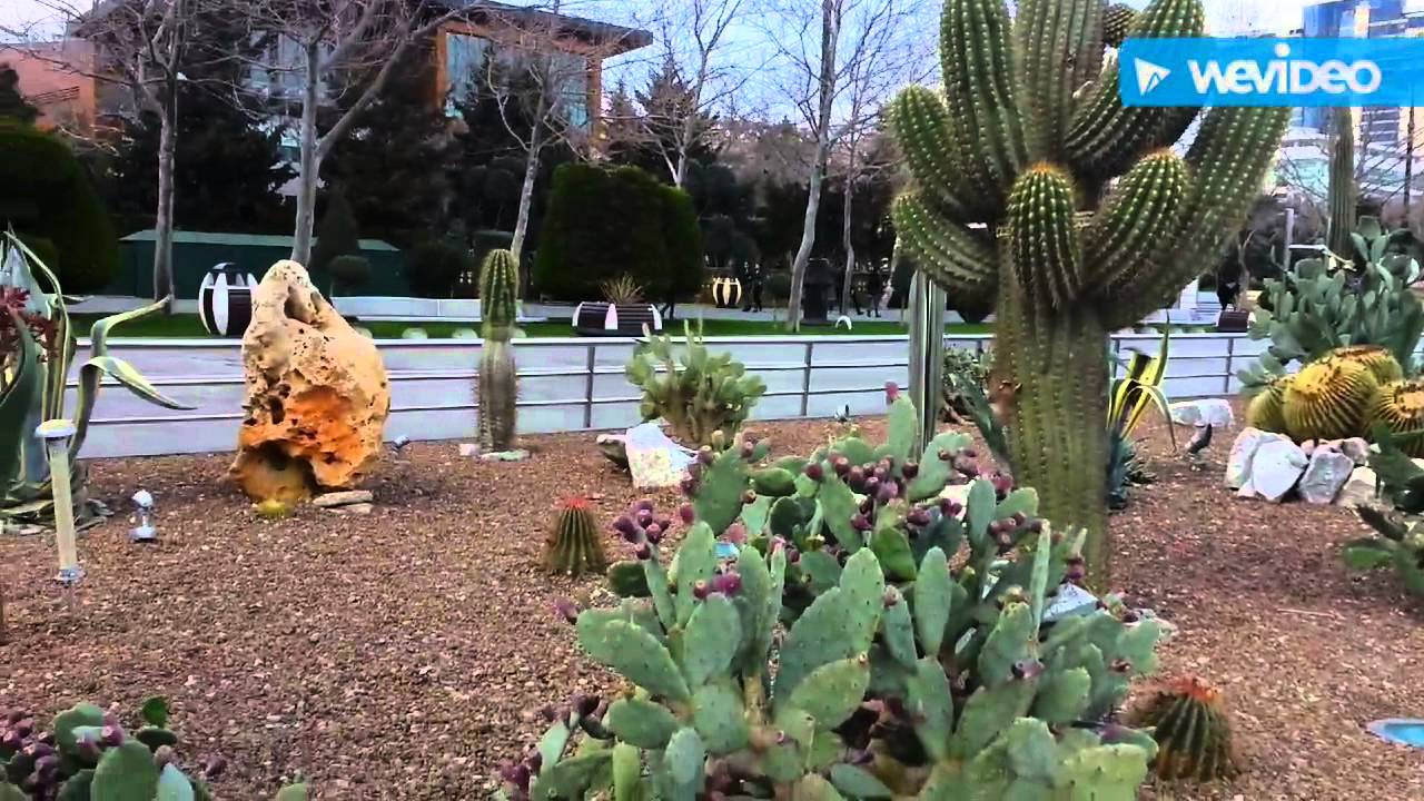 Приморский Бульвар Баку. Baku Seaside Boulevard. Bakı Dənizkənarı ...