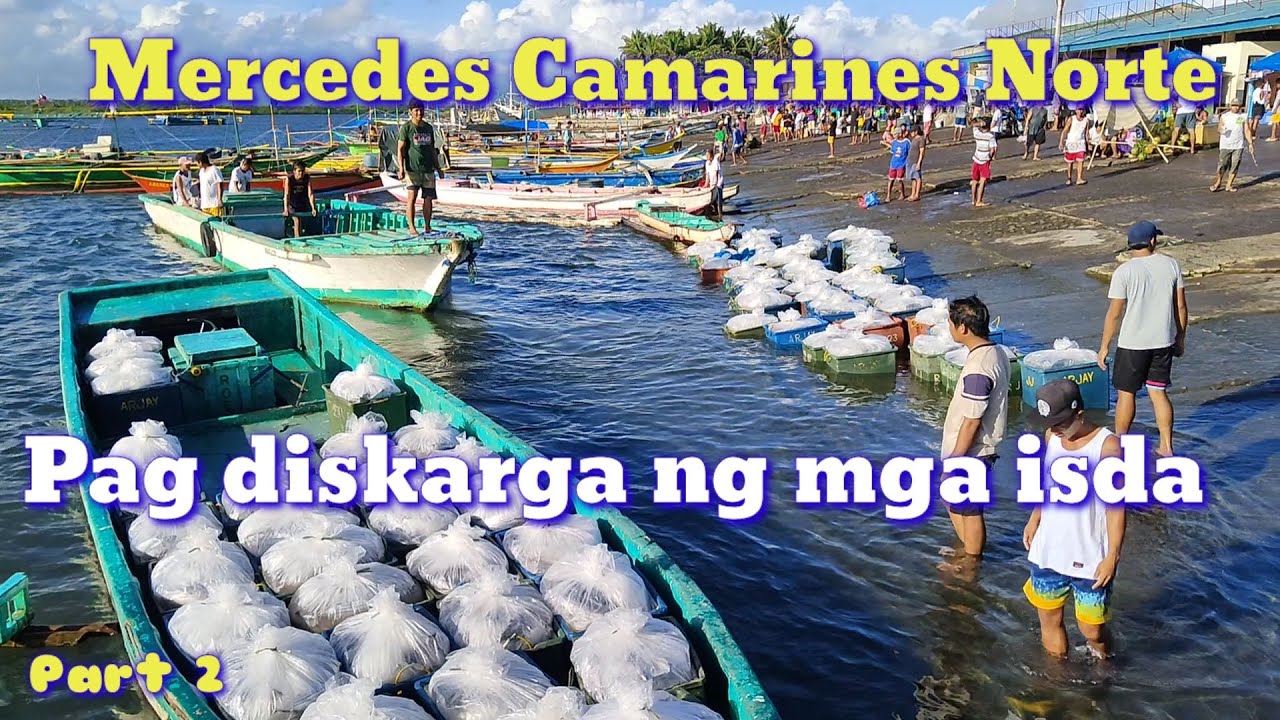 Part 2 Pag diskarga ng mga isda | Mercedes Camarines Norte... - YouTube