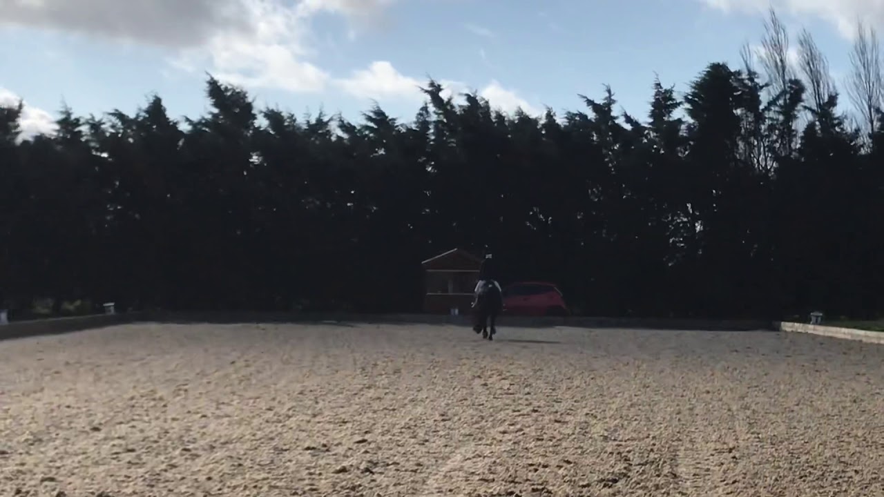 Prelim 17a Keysoe back arenas very windy - YouTube