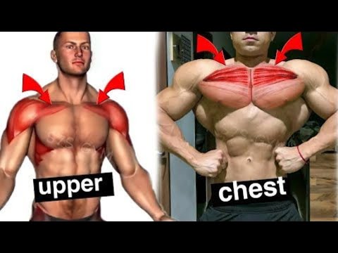 Massive Chest Gains | The Ultimate Workout for a Bigger, Stronger Upper ...