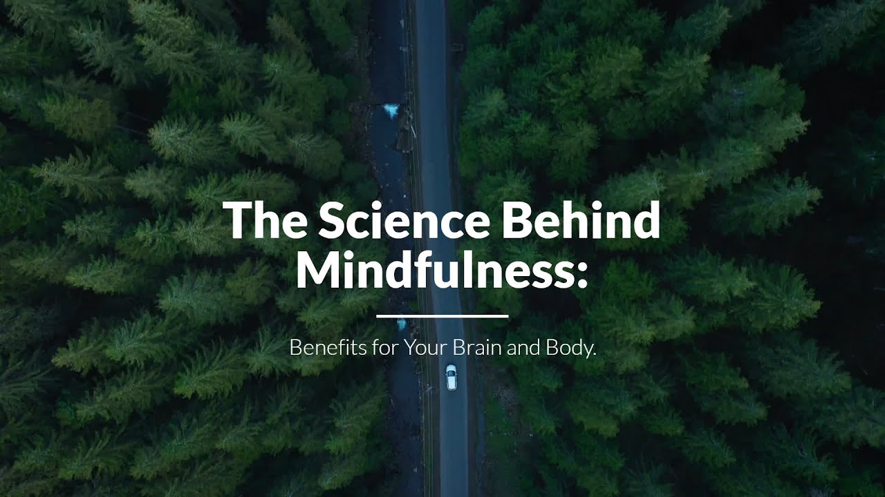 The Science Behind Mindfulness: Benefits for Your Brain and Body ...