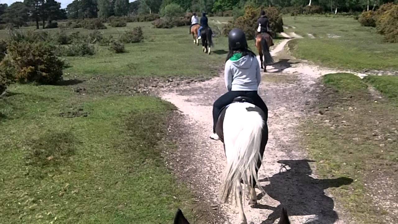 Horse Riding at the Forest Park stables - YouTube