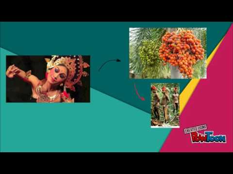 The myth of hainuwele - YouTube