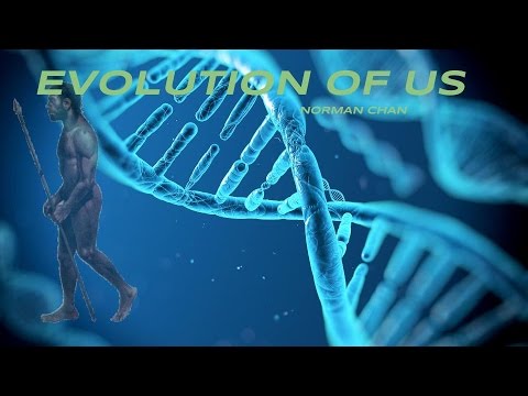 The Evolution of Us - YouTube
