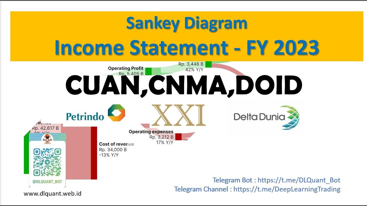 CUAN, CNMA,DOID : Sankey diagram Income Statement Full Year 2023 - YouTube
