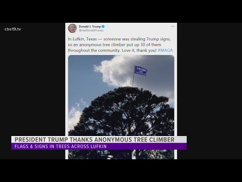 President Trump thanks 'anonymous tree climber' for putting flags ...