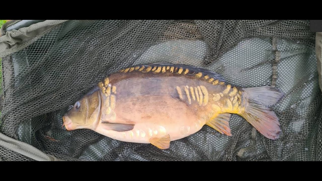 Fishing Edit - YouTube