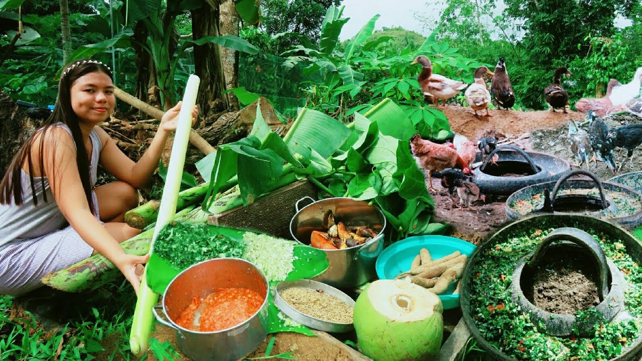 10 Kinds Of Free Organic Feeds For Free-Range Native Chicken & Duck ...