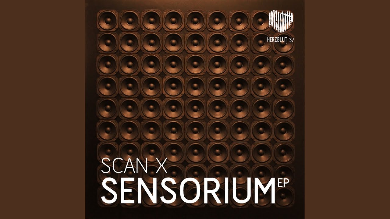 Sensorium - YouTube