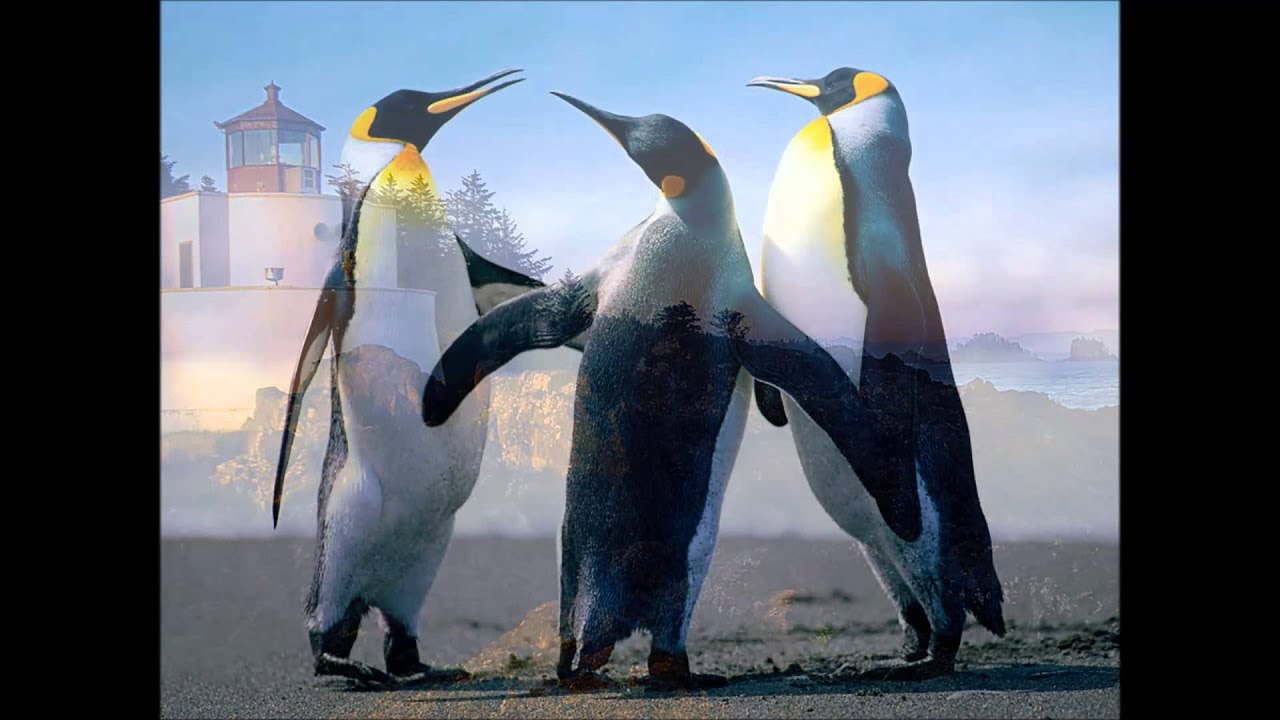 EMMA TEANET CHISKOP - YouTube