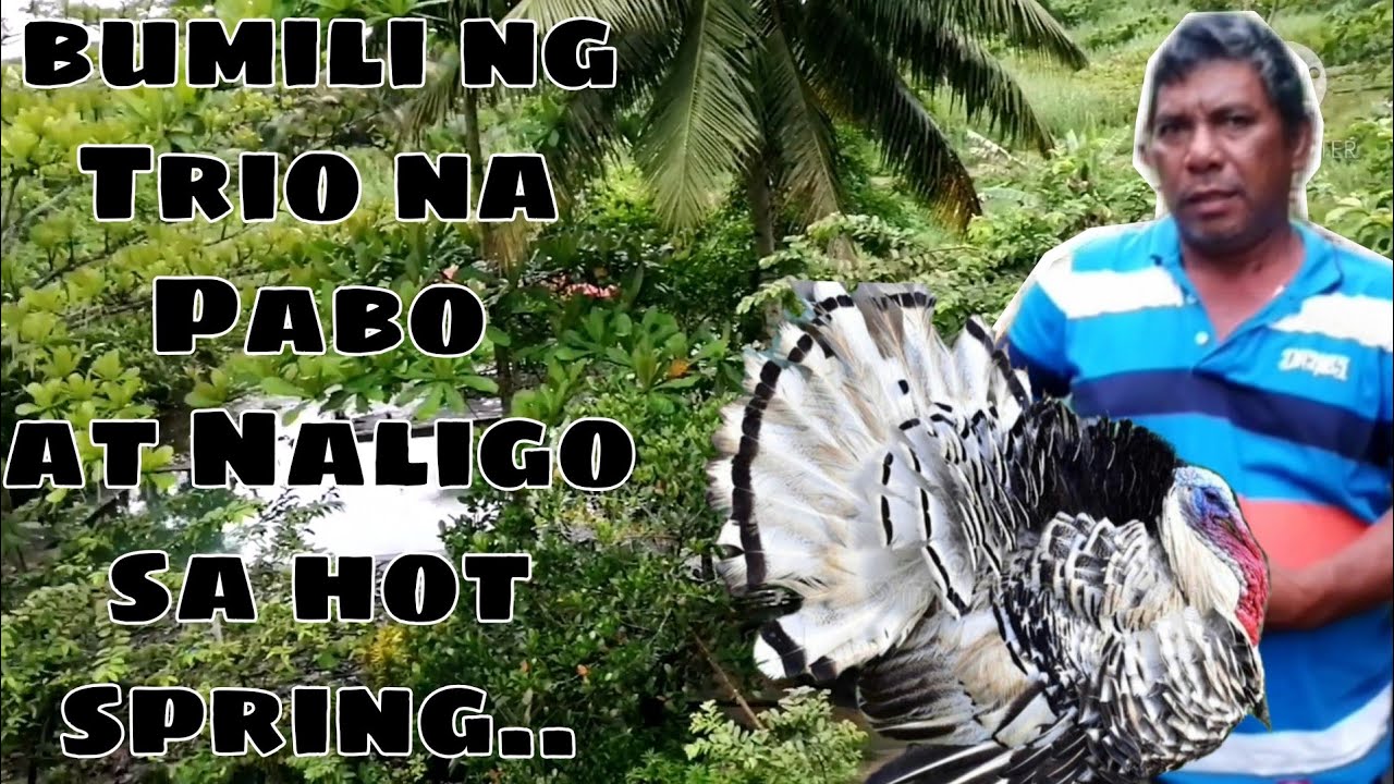 Bumili ng Pabo/Turkey 🦃🦃🦃 (trio) at Naligo sa Hot Spring🗻 😉😉 - YouTube