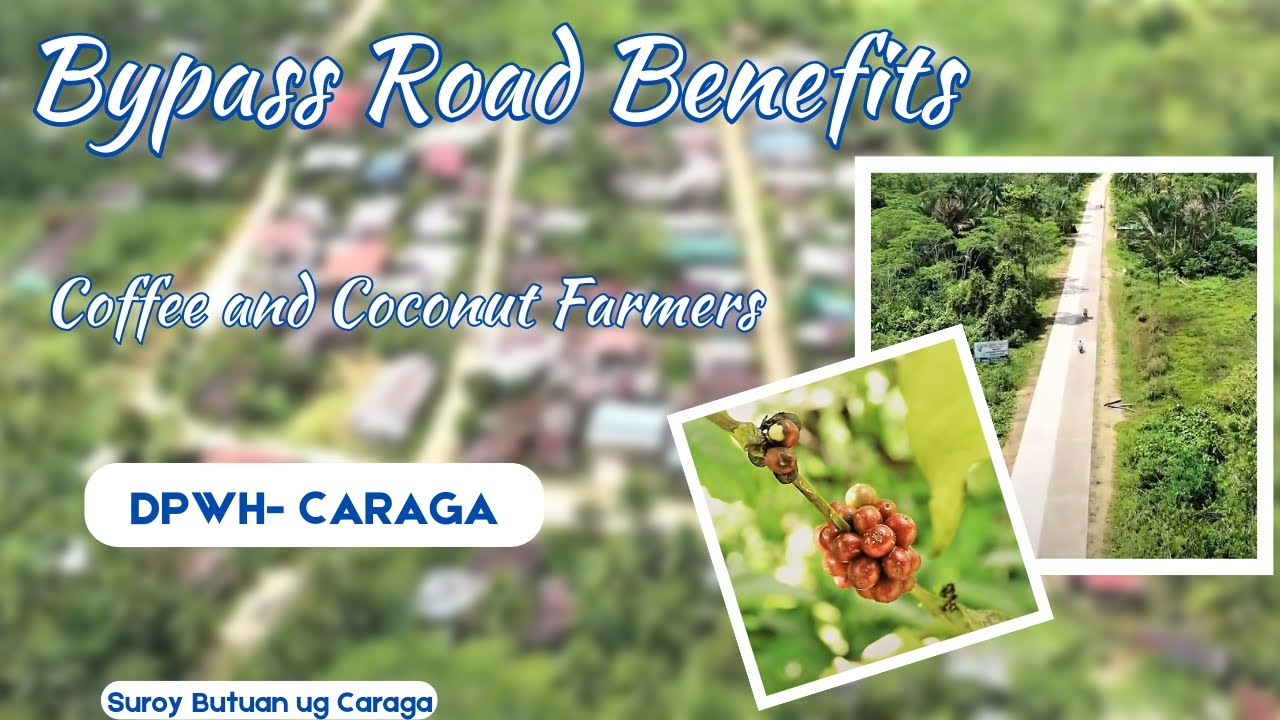 Bypass Road Benefits Coffee and Coconut Farmers in Tagbina, Surigao Del ...