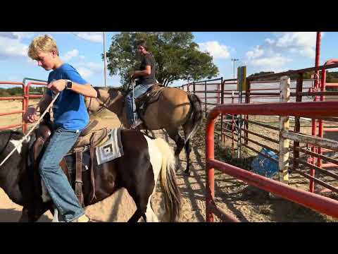 Wade/Trixie & Avry/Roo ride in pasture - YouTube