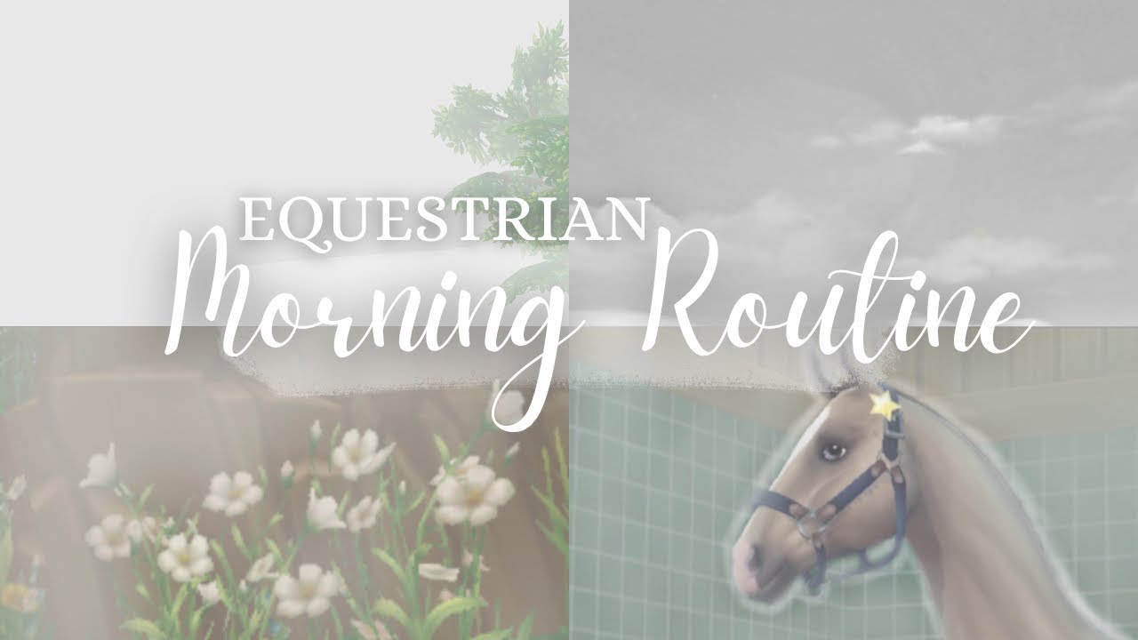 Equestrian Morning Routine! ☁️ || Early Winter Vlog || SSO RRP - YouTube
