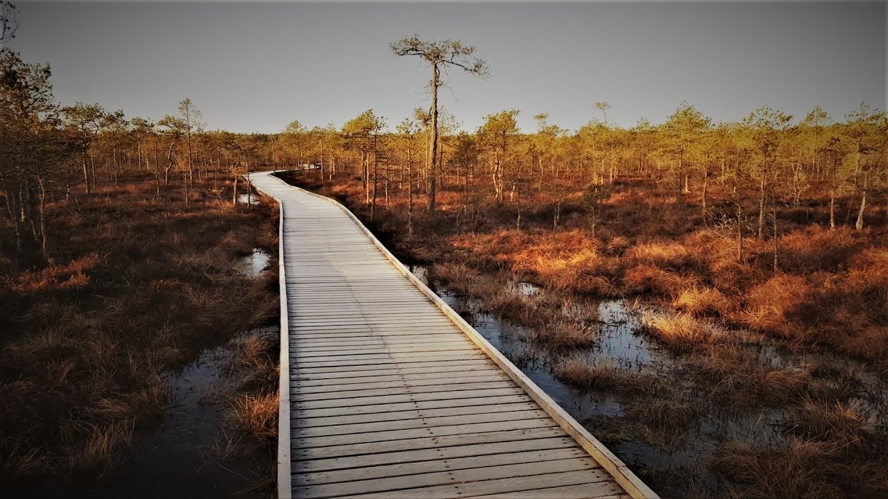 Meenikunno raba - Estonian bog spring 2017 (Drone Footage) [4K] - YouTube