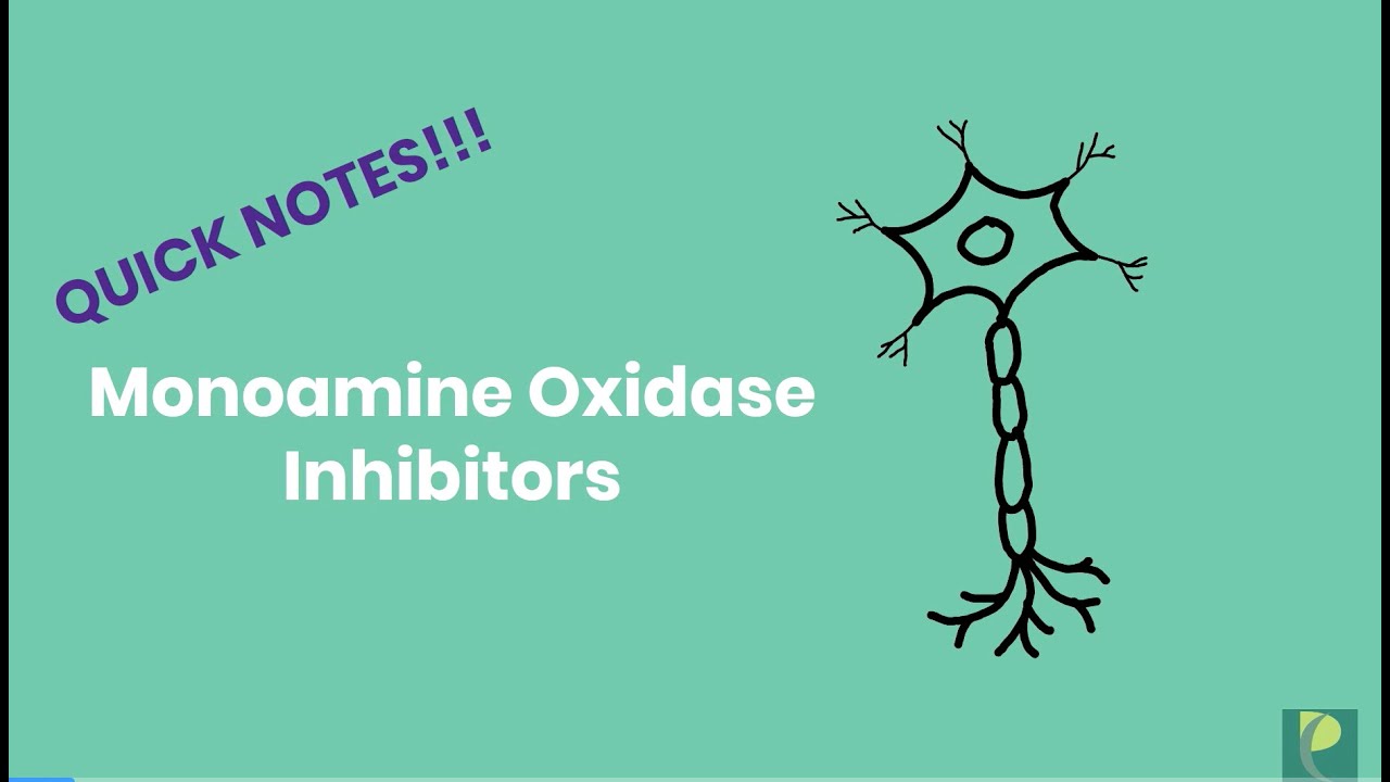 Quick Notes on MAOI | Monoamine Oxidase Inhibitors | PharmCept - YouTube