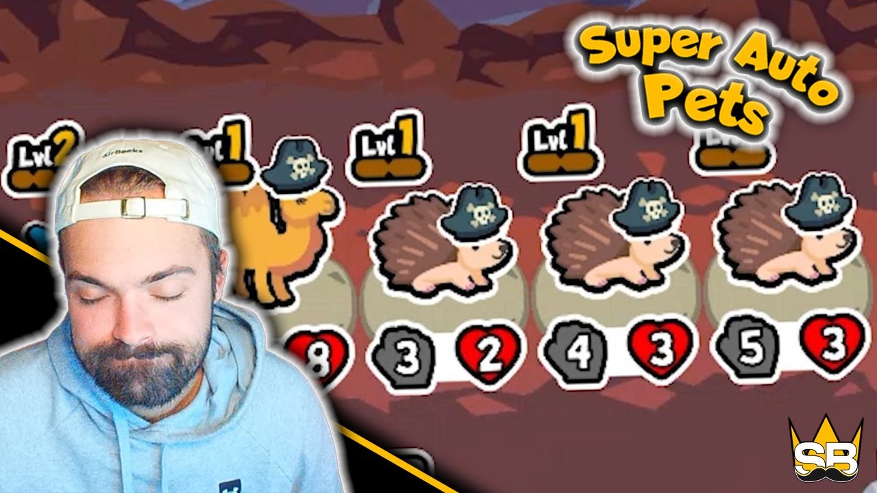 Certifiably INSANE strategies // Super Auto Pets - YouTube
