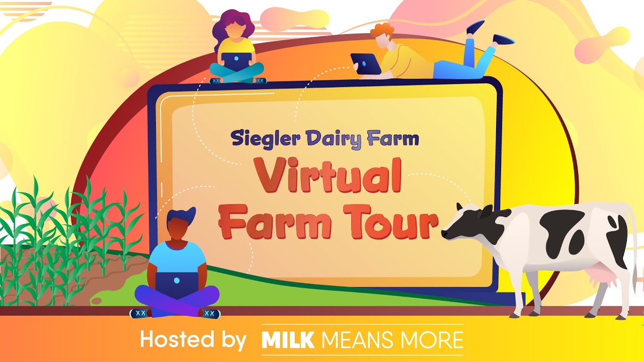 LIVE: Fall 2022 Virtual Farm Tour Series Stop #1 - Siegler Dairy Farm - YouTube