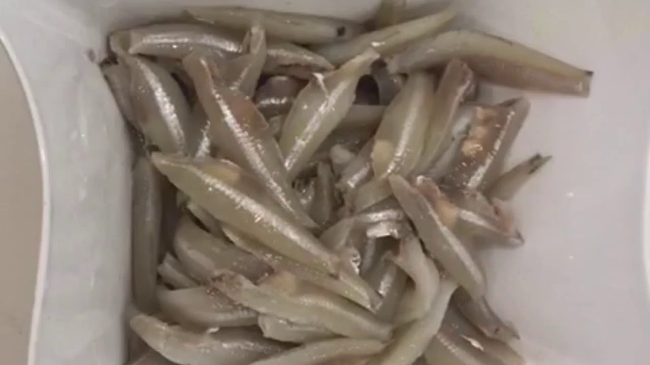 NATHOLI FRY | CRISPY | TRY IT | 😋😋 - YouTube