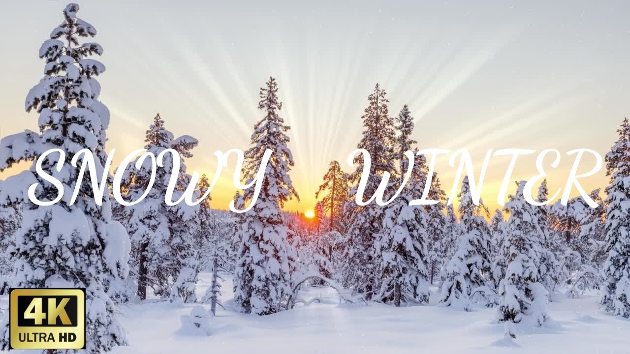 Snow Winter 4K Relaxation Film | Meditation Relaxing Music | Winter ...
