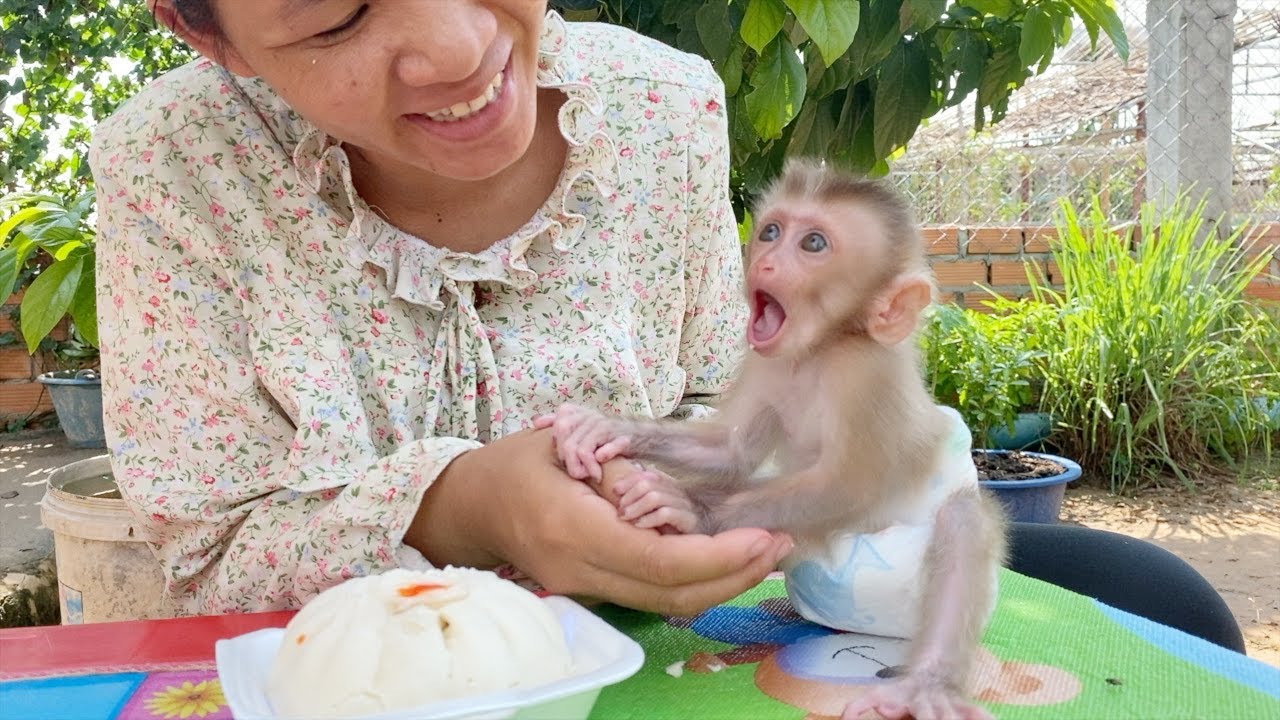 Most Amusing Baby Thou Eating Dumpling Look Delicious - YouTube