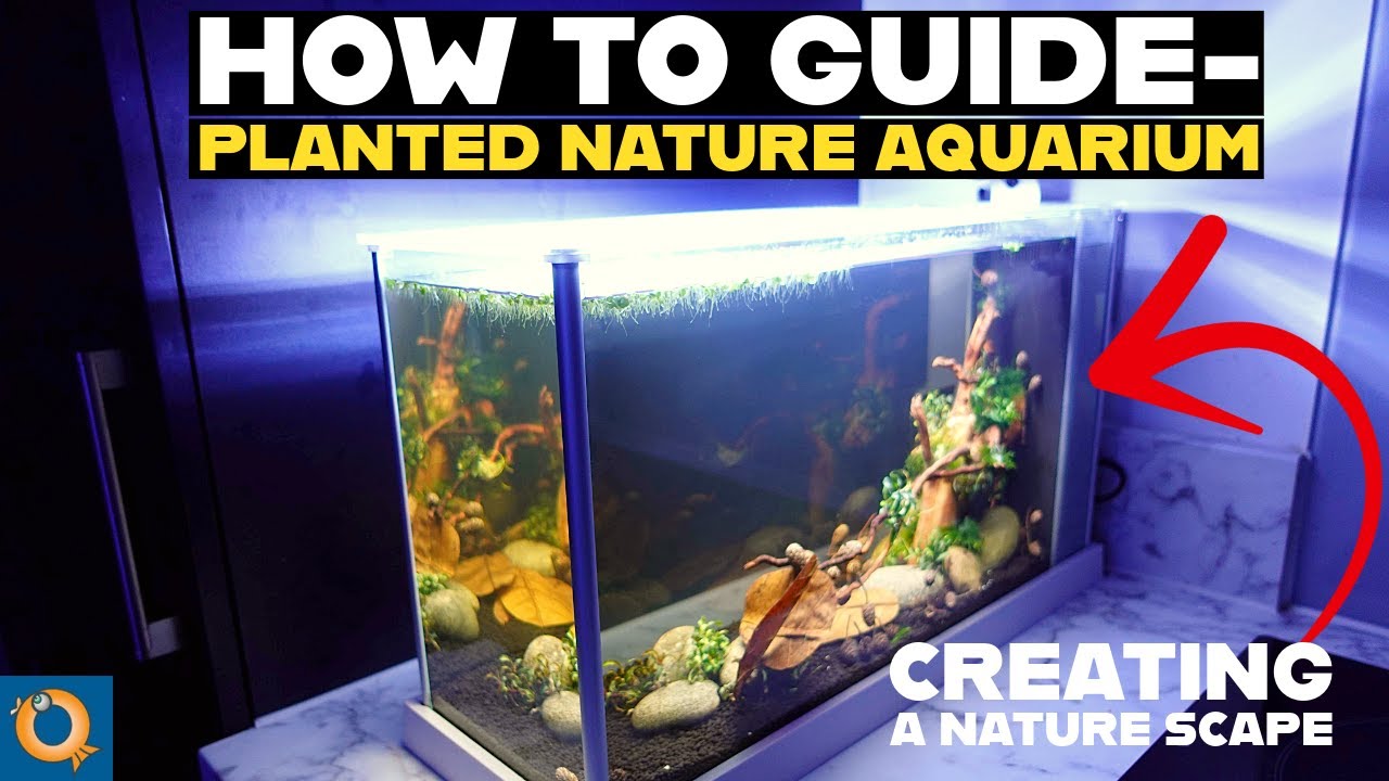 HOW TO SETUP A NANO AQUARIUM | PLANTED FISH TANK - YouTube