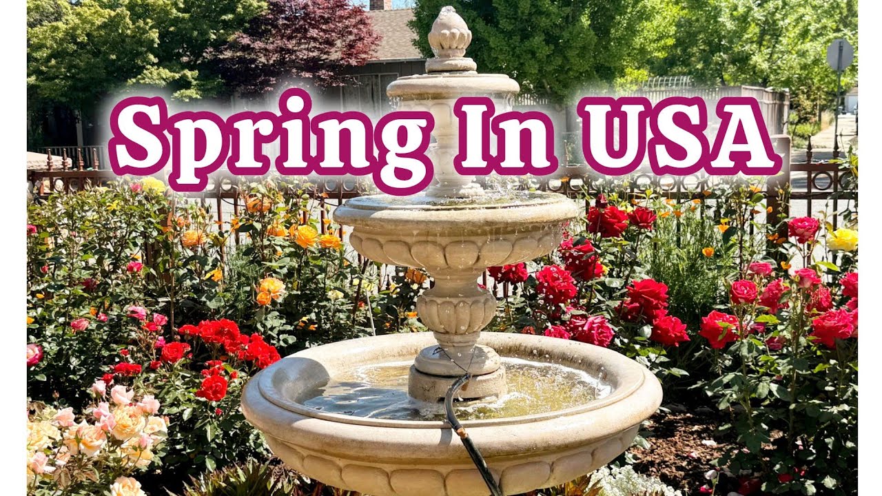 USA യിലെ Spring Season flowers🥀 കണ്ടാലോ😃Colourful Flowers in the Spring ...