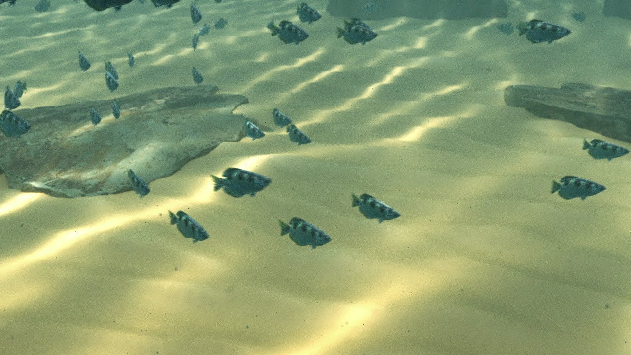 3D Underwater Ocean Scene - Created with 3ds Max, TyFlow, & Vray 6 ...
