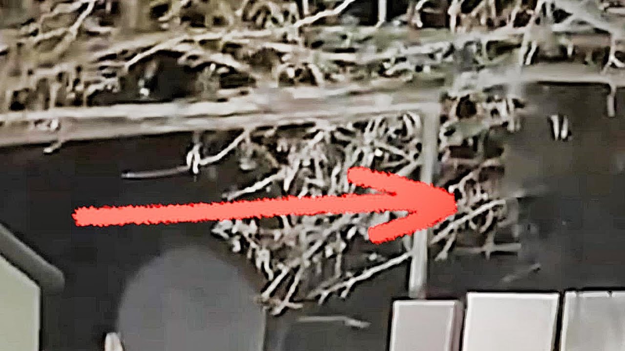Explosive New Video Evidence of Las Vegas Aliens Emerges - YouTube