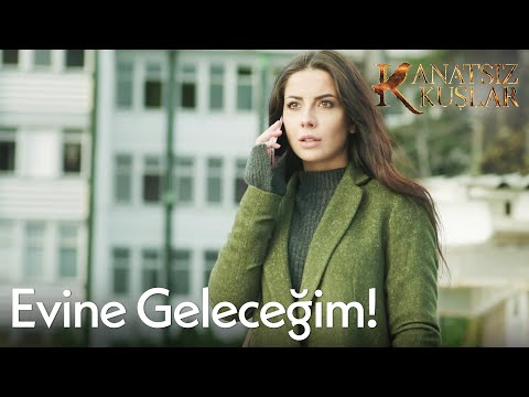 Zeynep, Ahmet'e teslim olacak mı? - Kanatsız Kuşlar🕊🕊