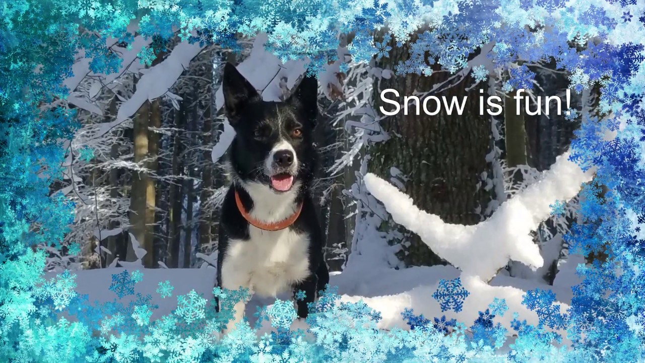 Snow is fun ????? - YouTube