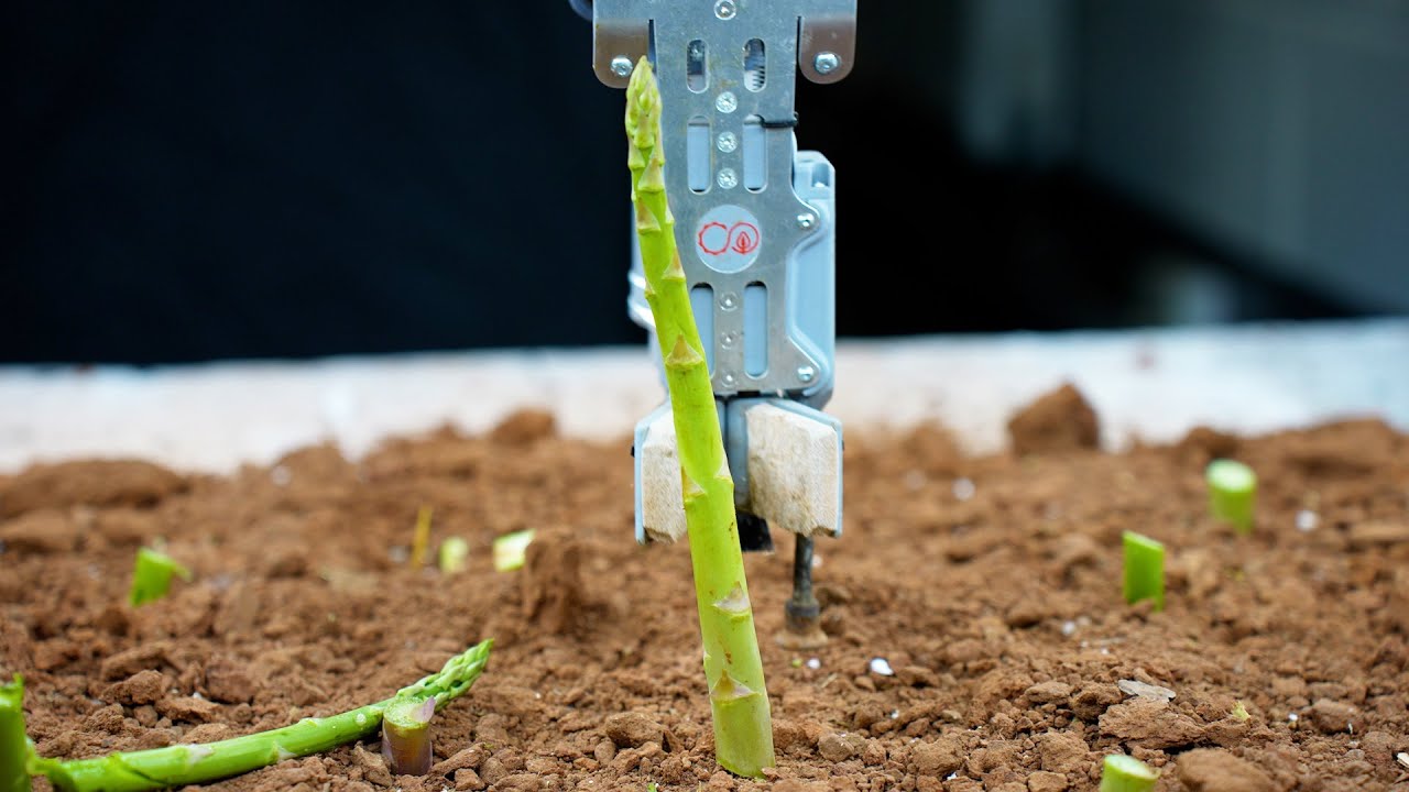 How Muddy Machines developed their automation technology with Defra's ...